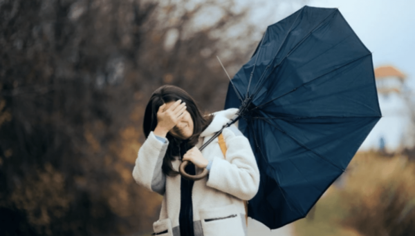 How umbrellas are made: a comprehensive guide